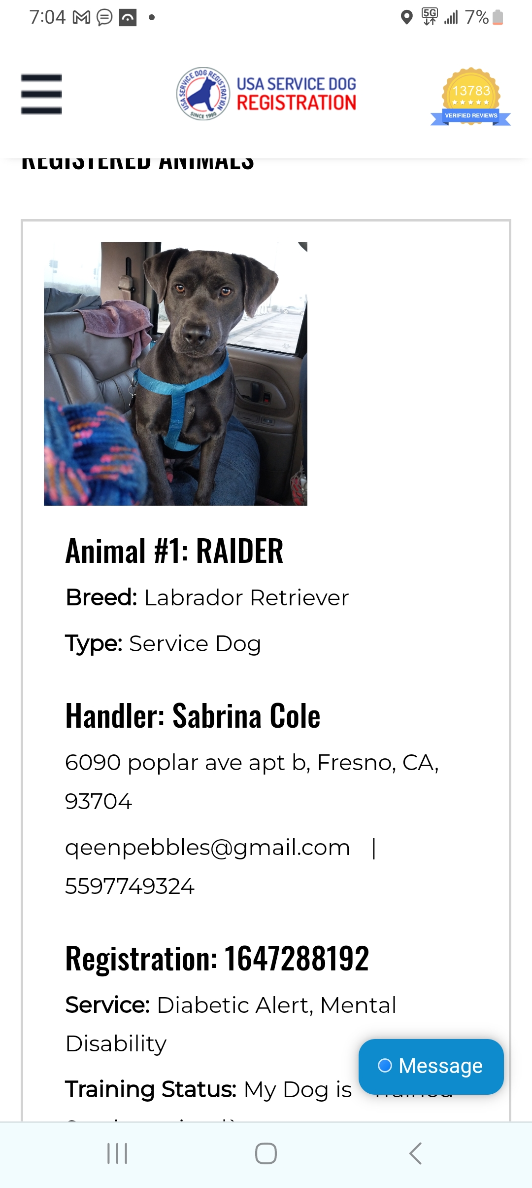 Reunited: Raider, Dog, Black lab/ pit bull, 07/03/24